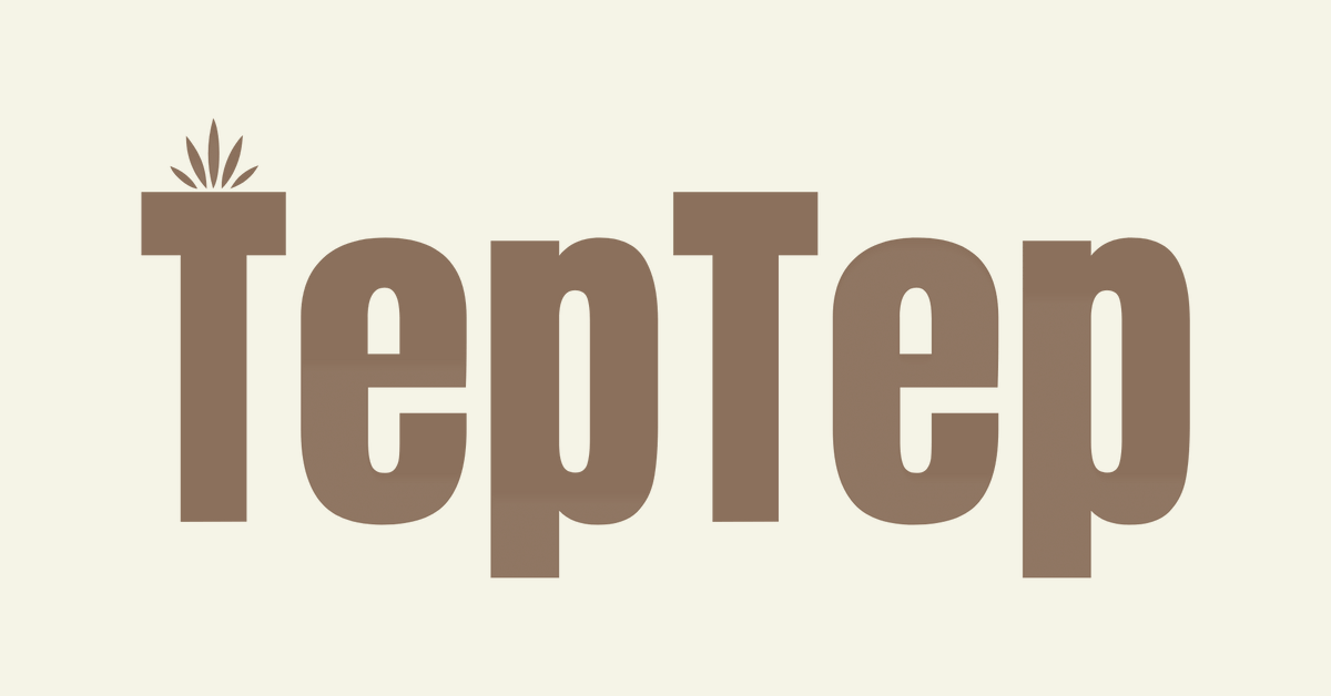 Malaysia First Premium Tepache - TepTep